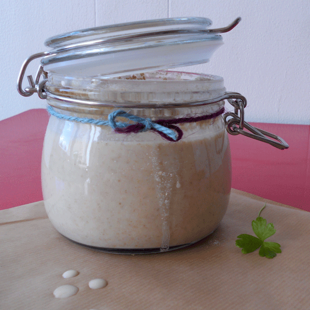 Lav din egen surdej - Cathrine Brandt