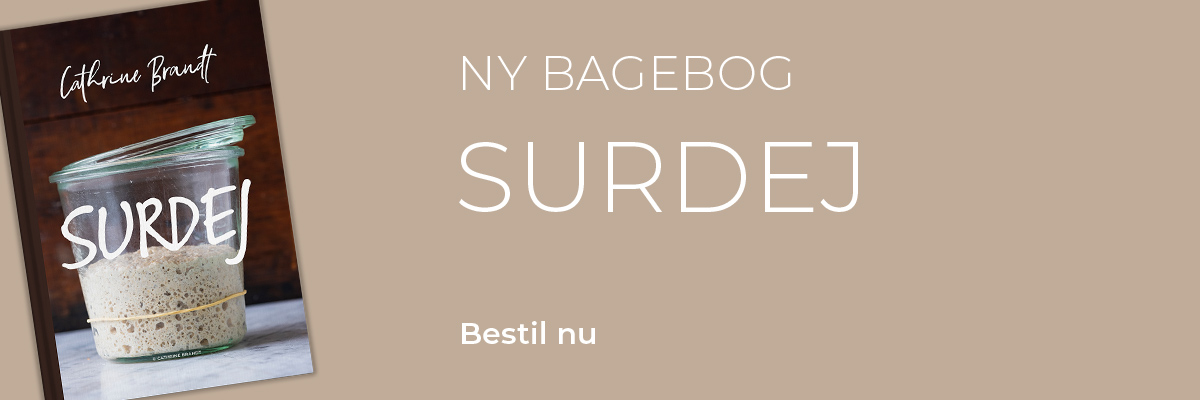 Lav din egen surdej - Cathrine Brandt